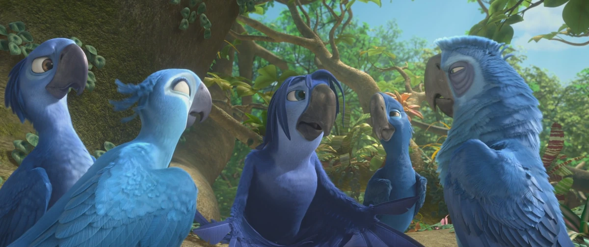 User blog:Purio/That Looks Like Blu's Brother! | Rio Wiki | Fandom