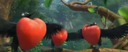 Real in Rio | Rio Wiki | Fandom