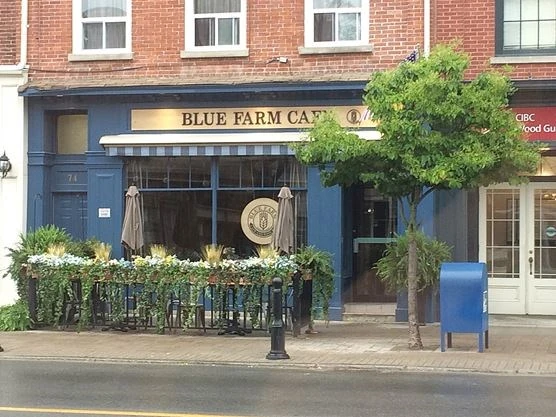 Blue Farm Cafe | Ginny & Georgia Wiki | Fandom