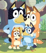 List of copycat shows | Ripoff Wikia | Fandom