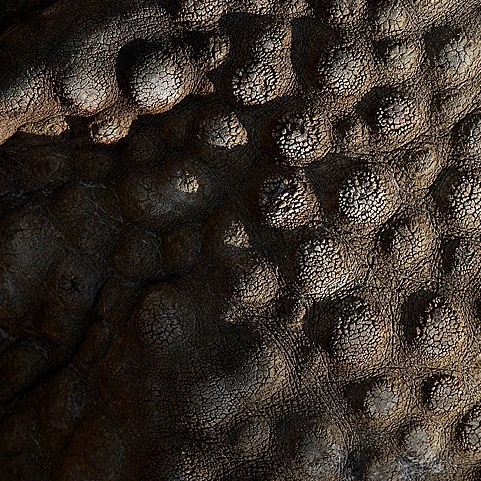 Stone Skin | Rippers Wiki | Fandom