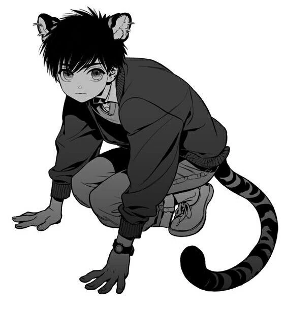 Anime Male Cat Demon