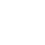 All about the cards | Rise TCG Wiki | Fandom