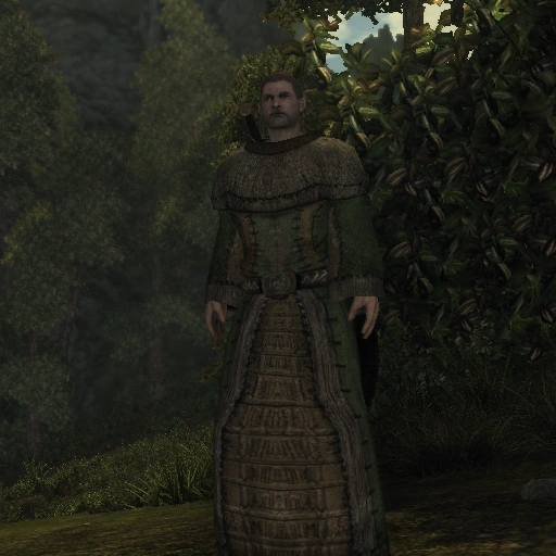 Мантия друида | Risen Wiki | Fandom