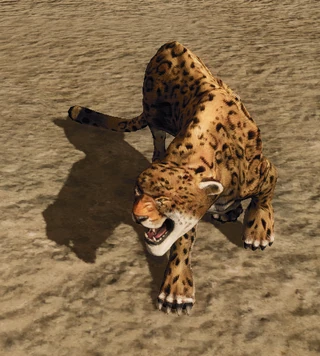 Jaguar | RISEN Wiki | Fandom