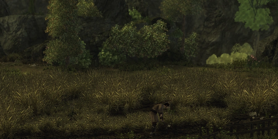 Hilf Benny bei der Feldarbeit | Risen-Wiki | Fandom