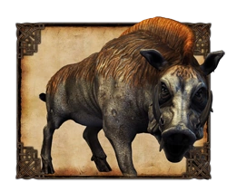 Boar | RISEN Wiki | Fandom