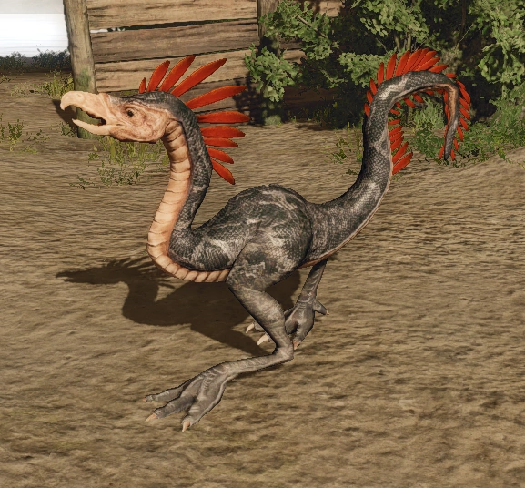 Firebird | RISEN Wiki | Fandom