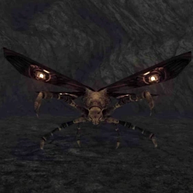 Moth | RISEN Wiki | Fandom