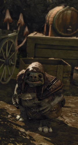 Nuri | RISEN Wiki | Fandom