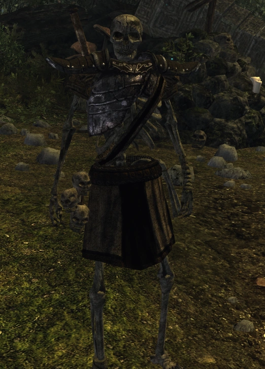 Скелет-воин | Risen Wiki | Fandom