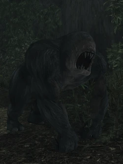 Мглор | Risen Wiki | Fandom