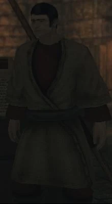 Erlan | Risen Wiki | Fandom