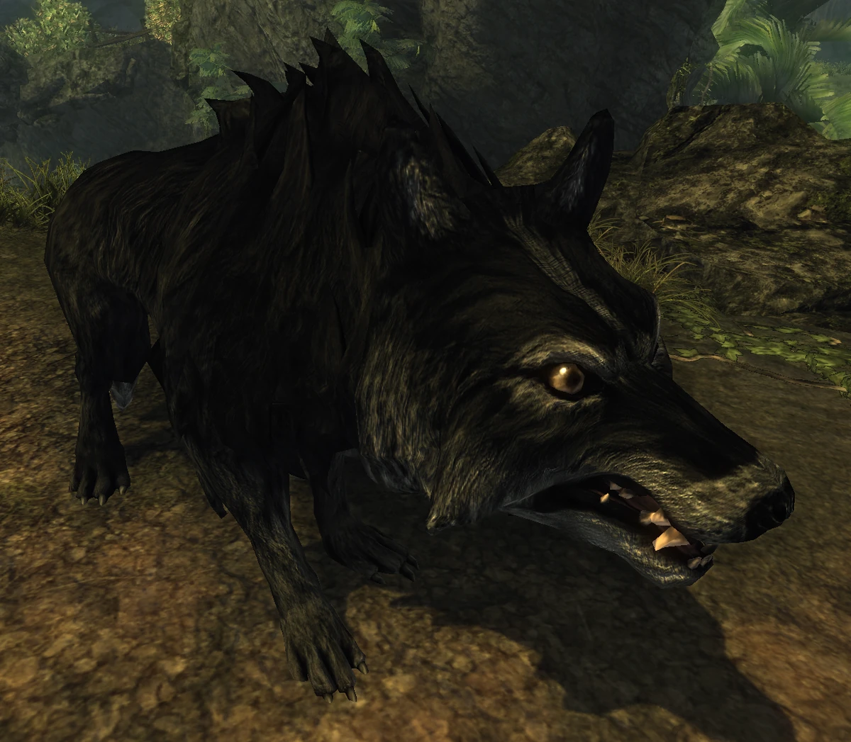 Czarny wilk | Risenpedia | Fandom