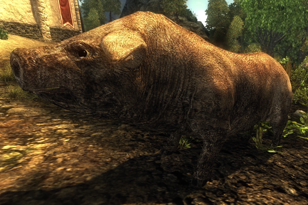 Świnia | Risenpedia | Fandom