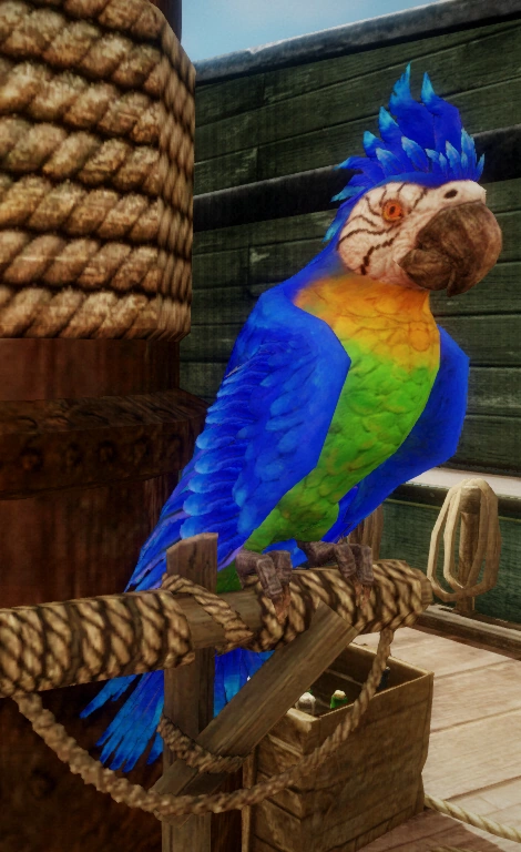 Polly | Risenpedia | Fandom