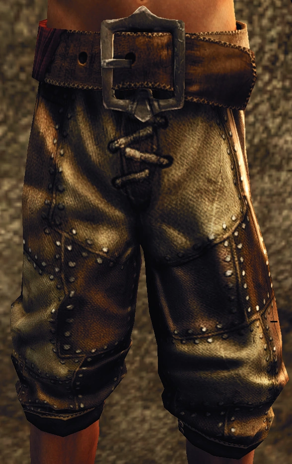 Ćwiekowane spodnie | Risenpedia | Fandom