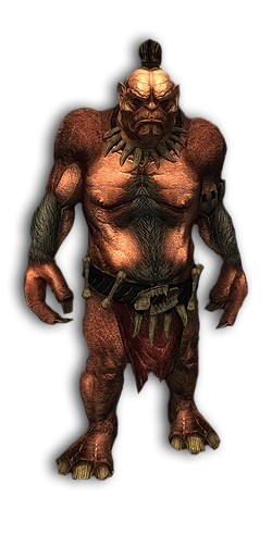 Drok | Risenpedia | Fandom