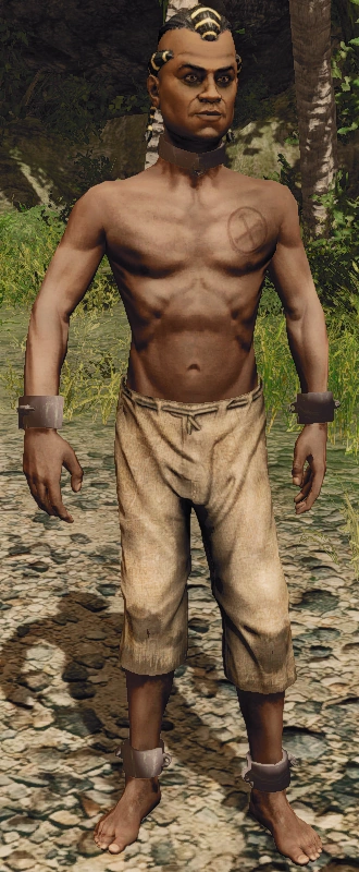 Niewolnicy | Risenpedia | Fandom