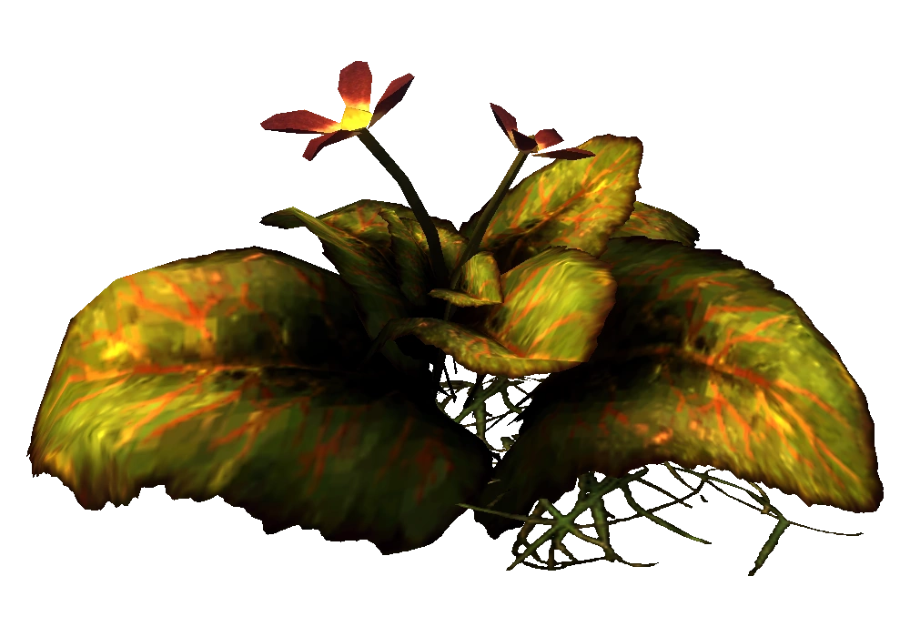 Ziele lecznicze | Risenpedia | Fandom