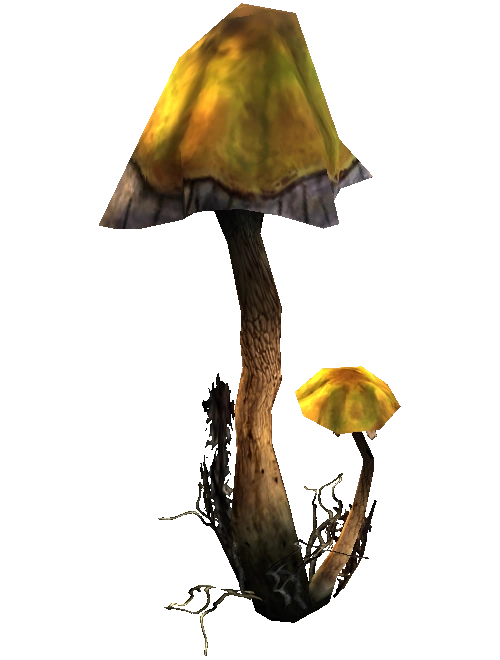 Kapelusz wróżki | Risenpedia | Fandom