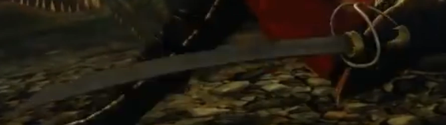 Piracki miecz | Risenpedia | Fandom