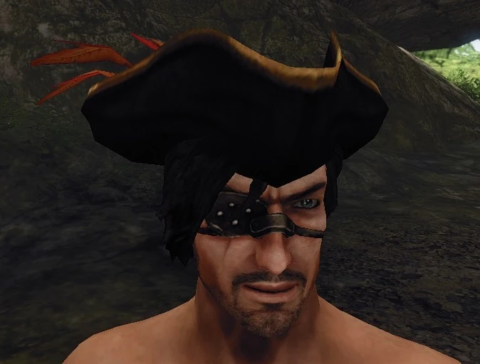 Kapelusz Stalowobrodego | Risenpedia | Fandom