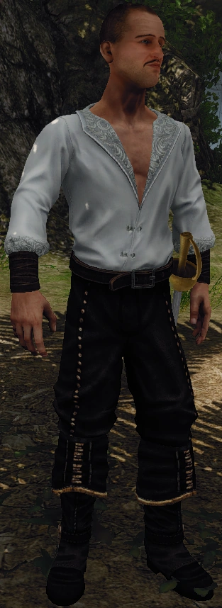 Henri | Risenpedia | Fandom