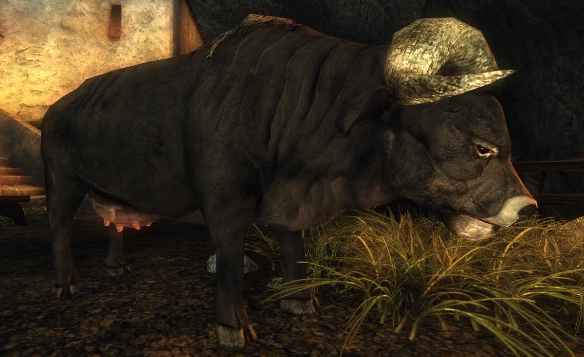 Krowa | Risenpedia | Fandom