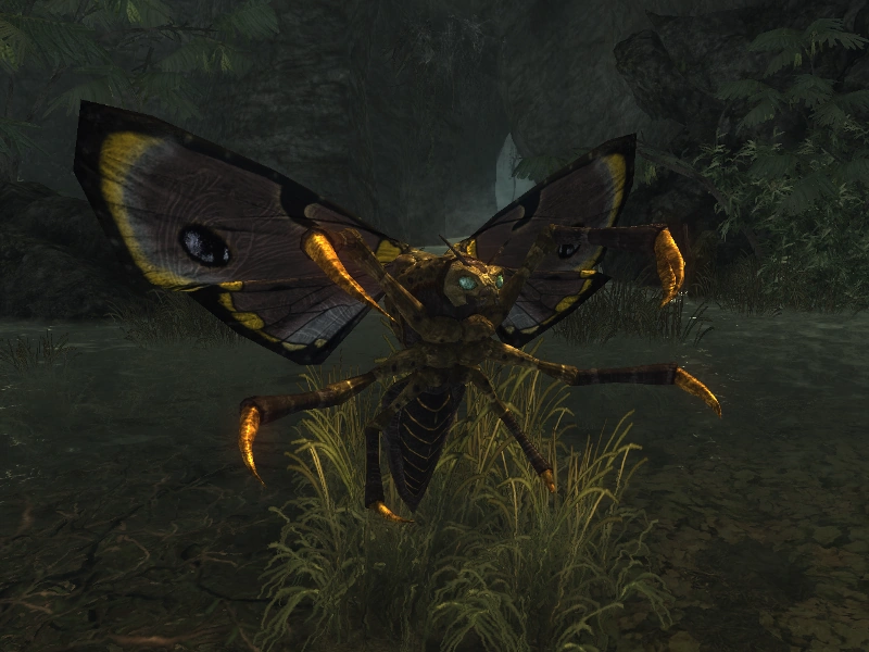 Ćma szponiasta | Risenpedia | Fandom