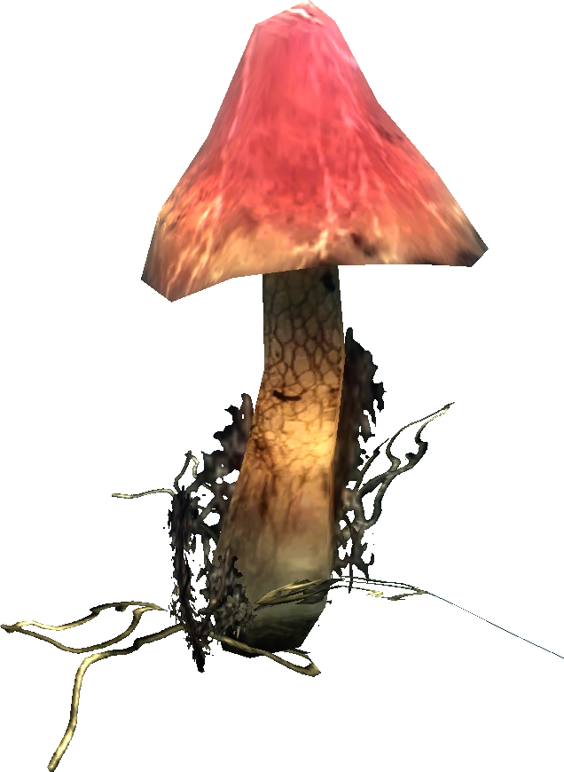 Grzyb | Risenpedia | Fandom