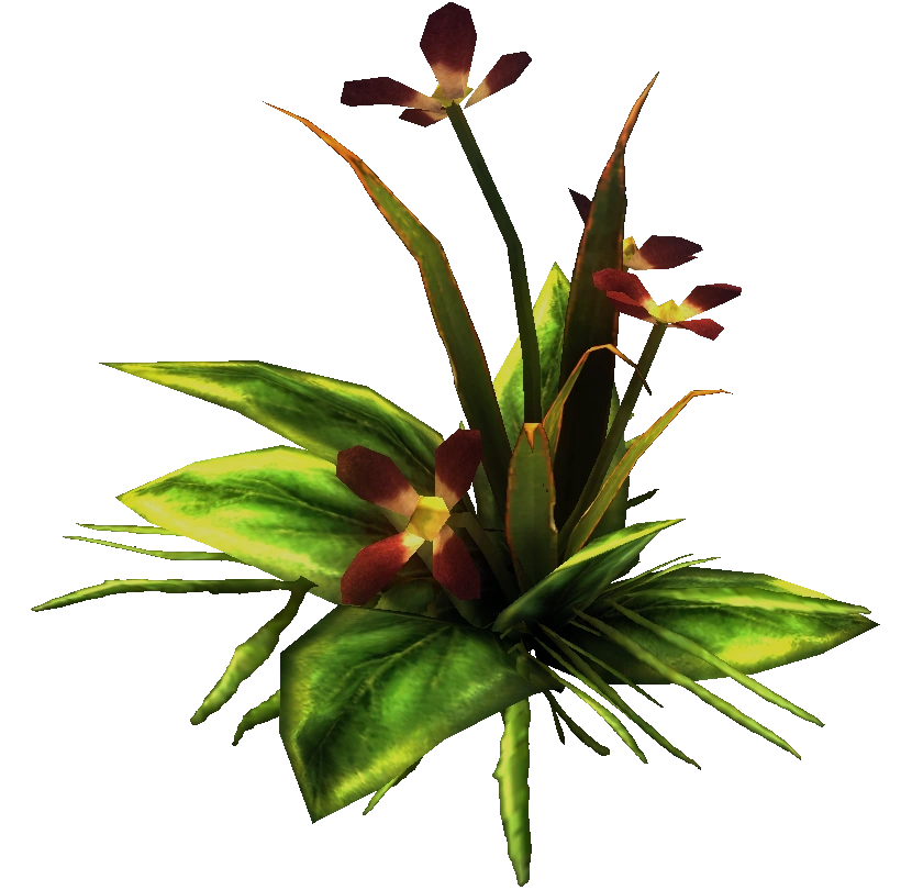 Roślina lecznicza | Risenpedia | Fandom