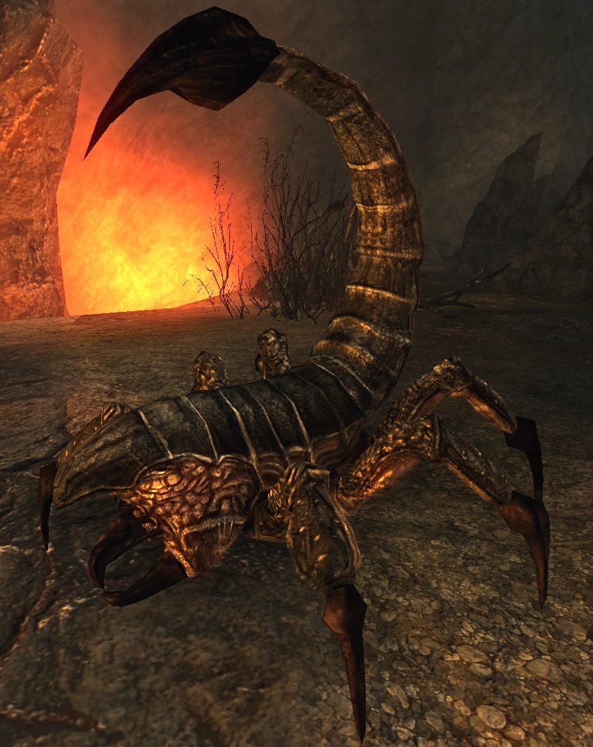 Skorpion | Risenpedia | Fandom