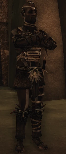 Tao | Risenpedia | Fandom