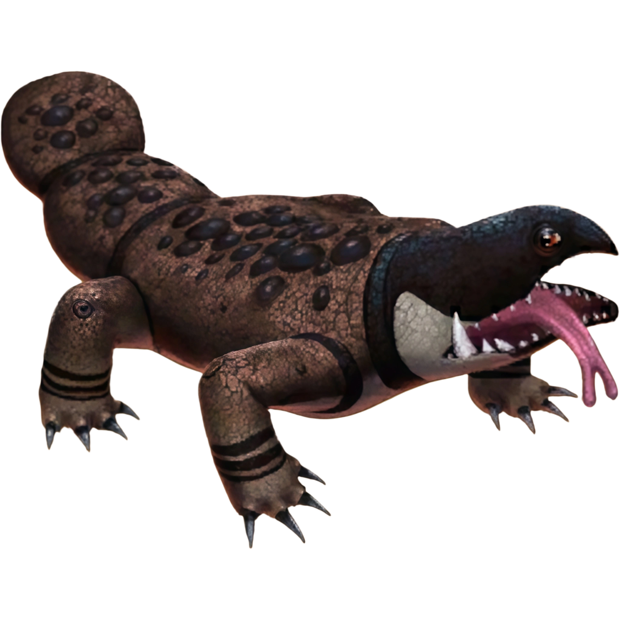 Crunch Muncher | Dragons: Rise of Berk Wiki | Fandom