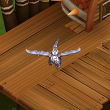 Wingnut | Dragons: Rise of Berk Wiki | Fandom