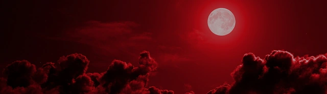 Rising Shadow Series | Rising Shadow Wiki | Fandom