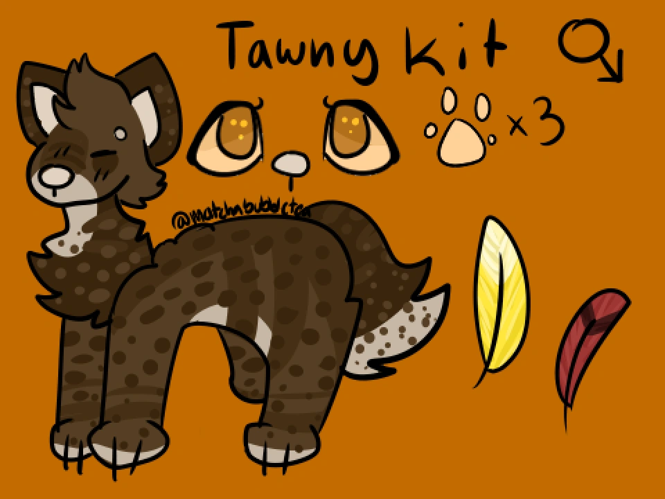 Tawnyflurry | Rising Tides In CoveClan Wiki | Fandom