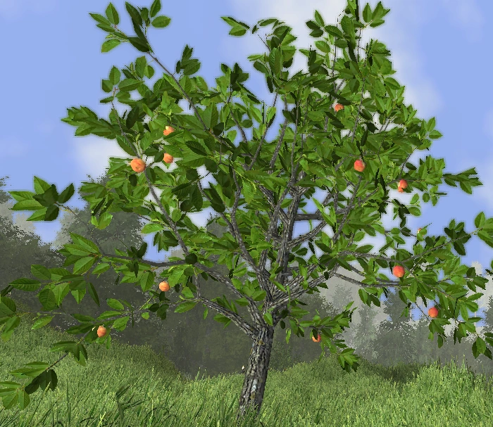 Apple (tree) | Rising World Wiki | Fandom