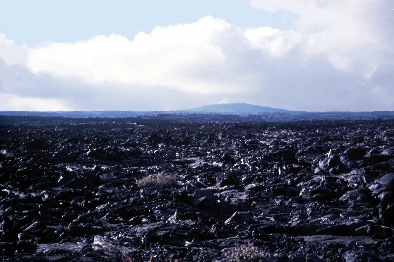 Traismalia | Rising Dawn Wiki | Fandom