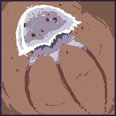 Wandering Vagrant | Wiki Risk of Rain | Fandom