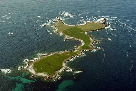 Anet | Risk Universalis's Post Apocalypse Wiki | Fandom