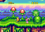 Planet Flora | Ristar Wiki | Fandom