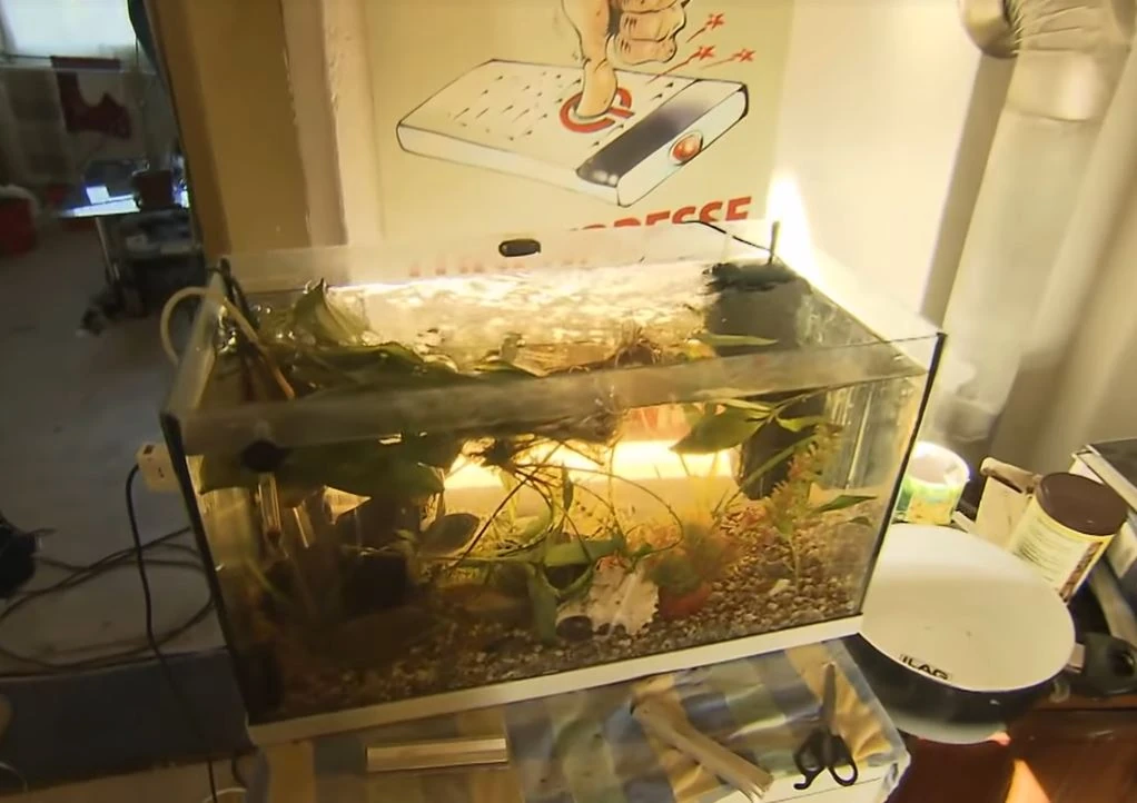 Fischaquarium | Ritter Wiki | Fandom