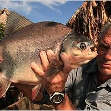 Fish With Human Teeth River Monsters