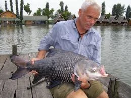 Giant Barb | River Monsters Wiki | Fandom