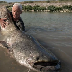 River Monsters Fish