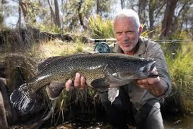 River Monsters Wolf Fish Teeth