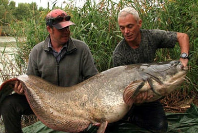 Wolf Fish River Monsters