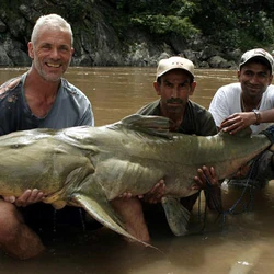 River Monsters Demon Fish